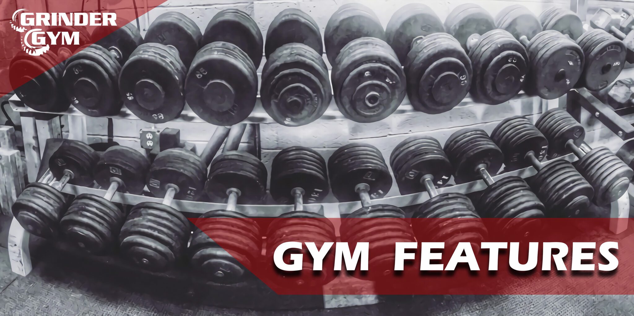 GYM FEATURES – Grinder Gym