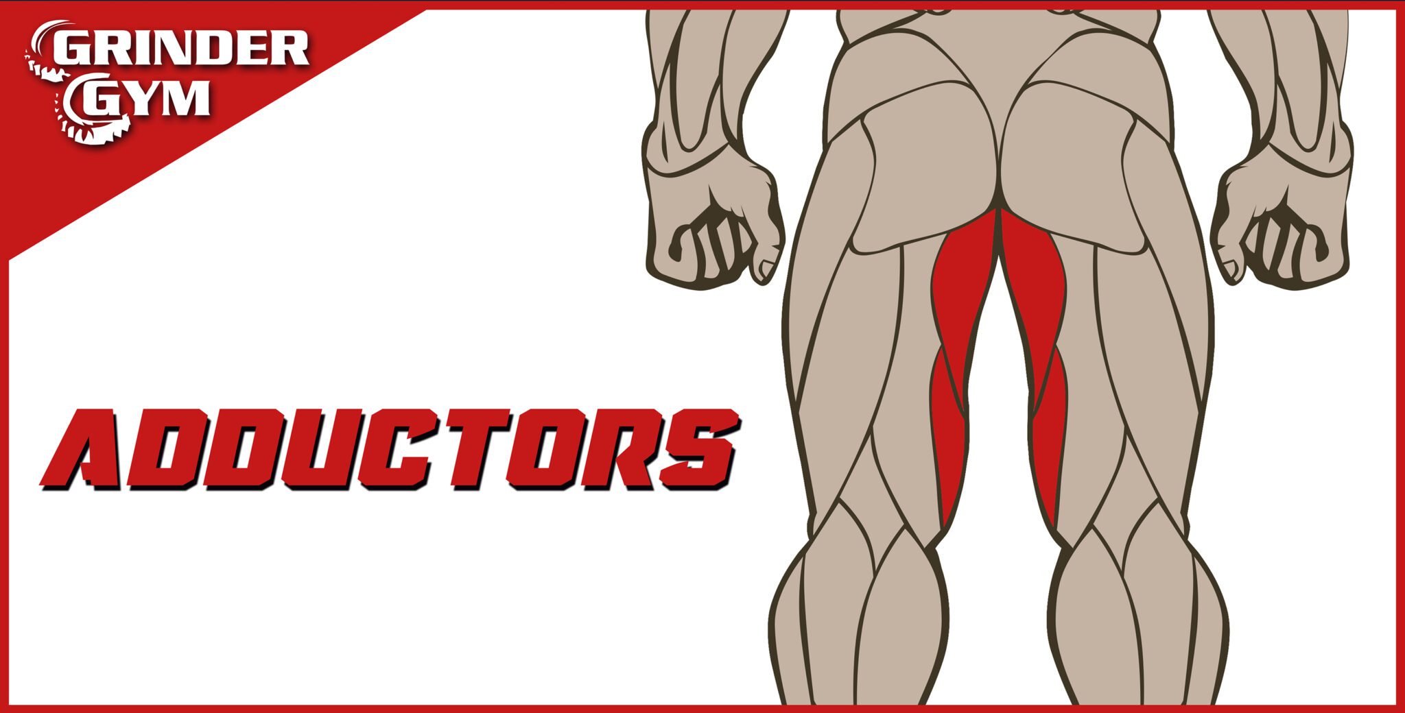 Adductor Exercises – Grinder Gym