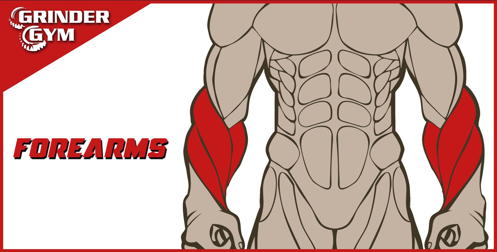 Forearm Exercises – Grinder Gym