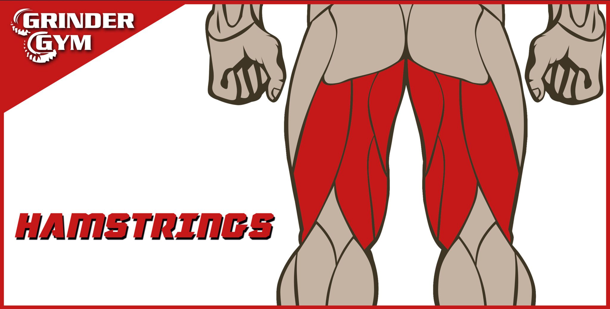 Hamstring Exercises – Grinder Gym