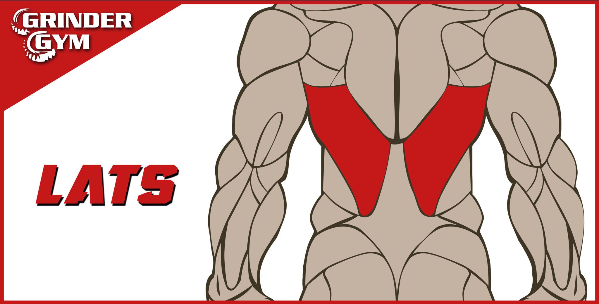 Lat Exercises – Grinder Gym