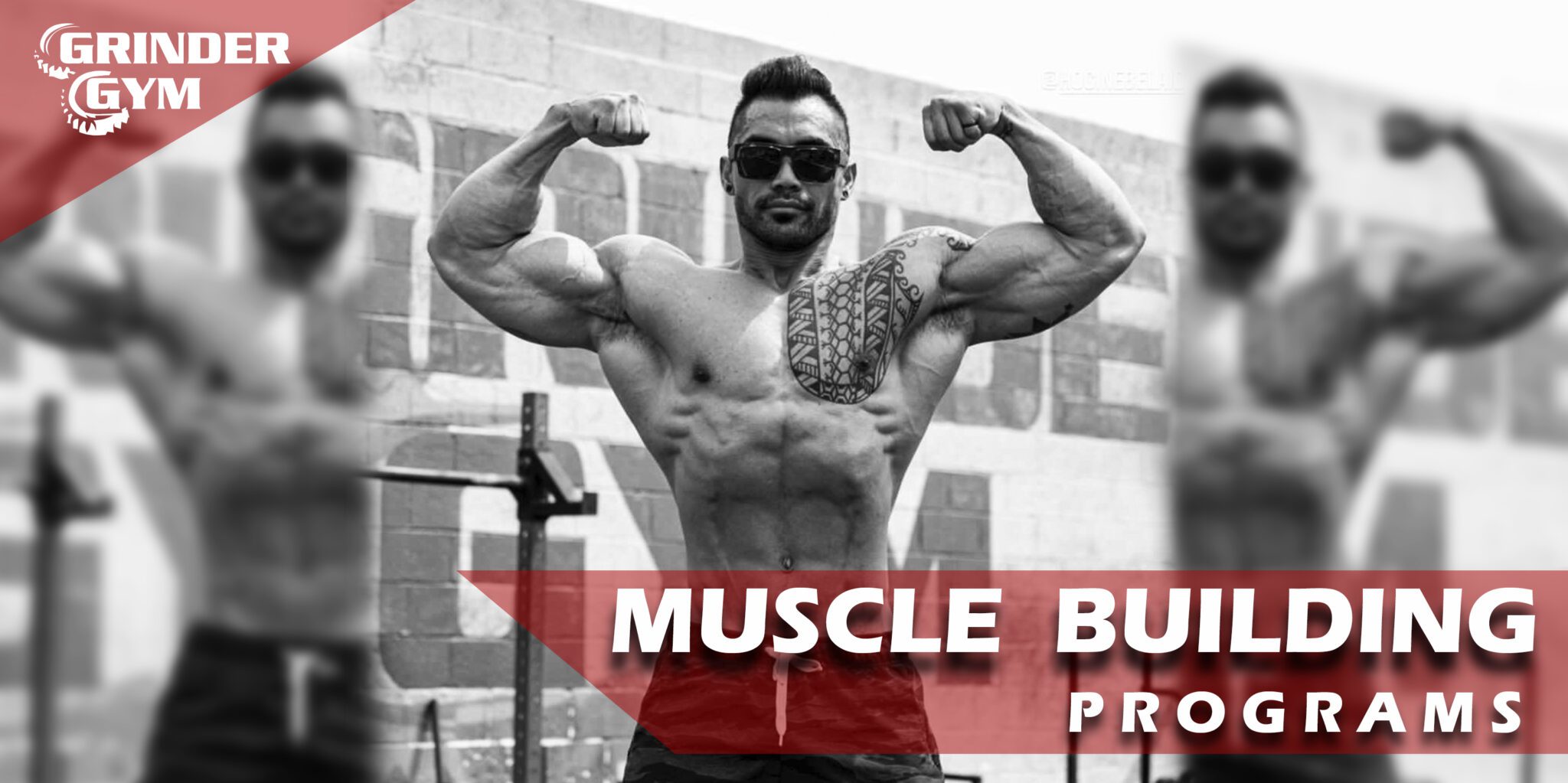 Muscle Building Transformation Programs – Grinder Gym