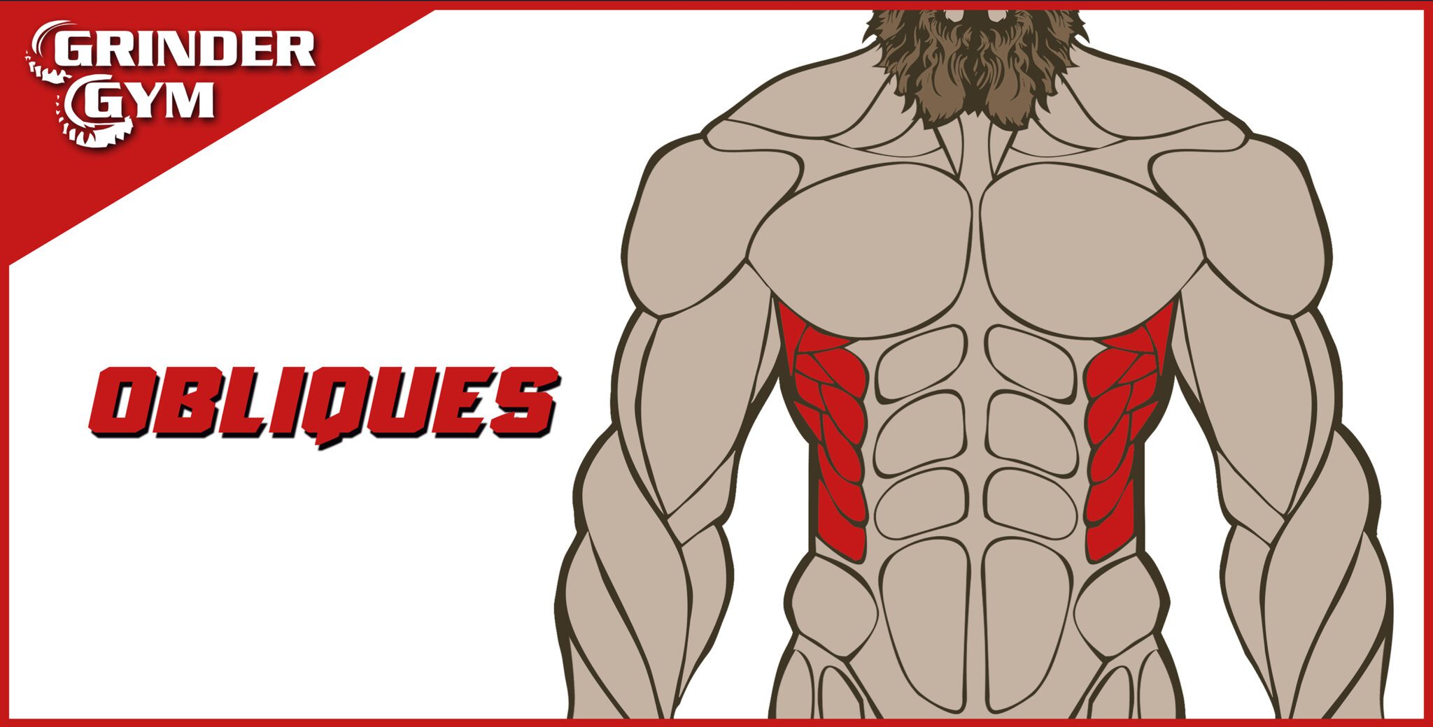 Oblique Exercises - Grinder Gym