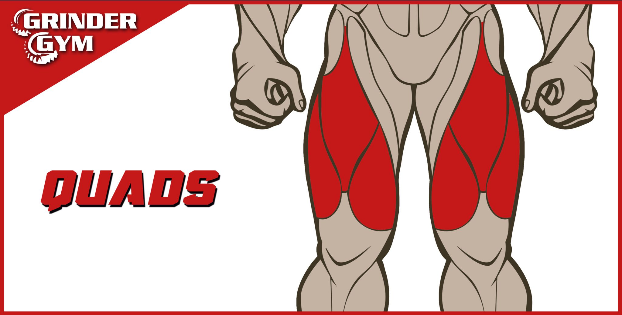 Quad Exercises – Grinder Gym