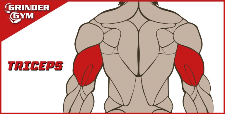 Triceps Exercises – Grinder Gym