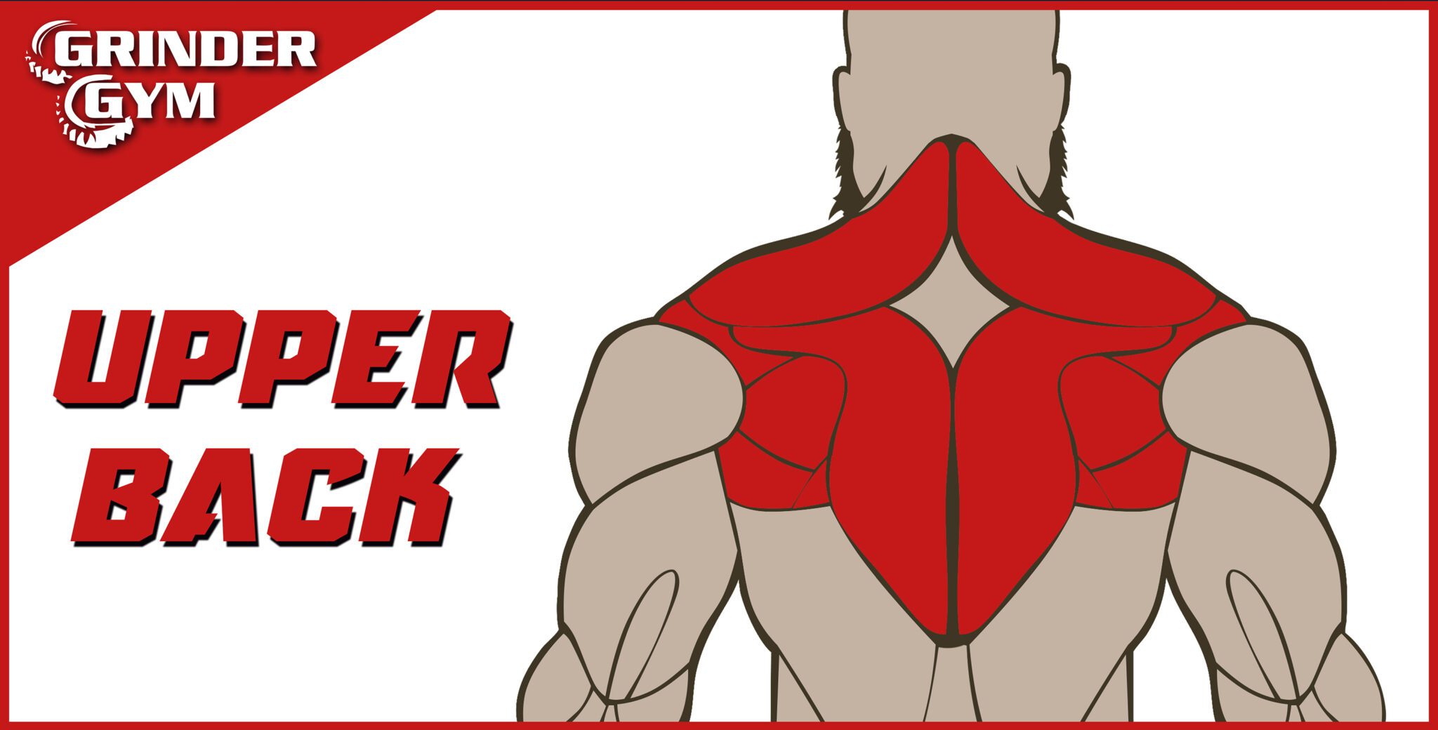 Upper Back Exercises – Grinder Gym
