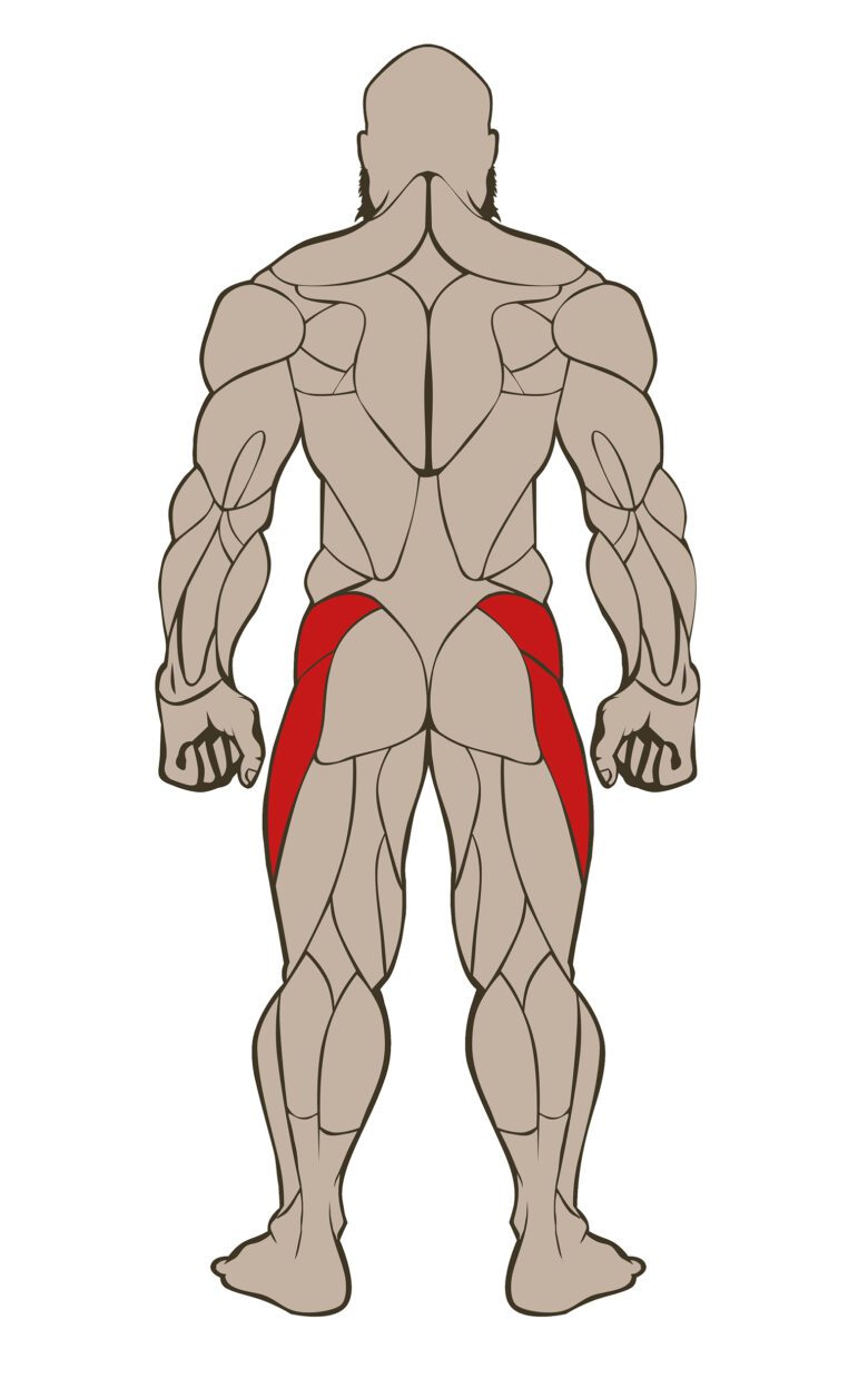 Band Resistive Lying Leg Abduction – Grinder Gym