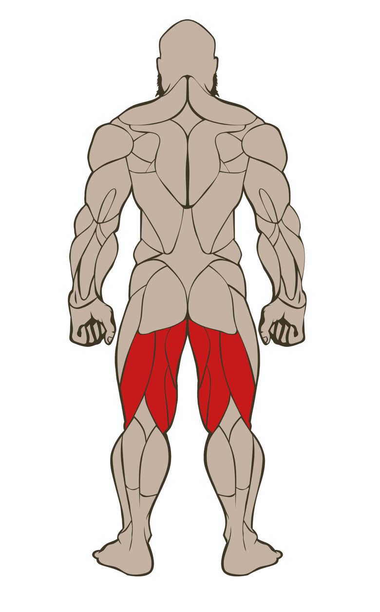 Seated Leg Curl Grinder Gym