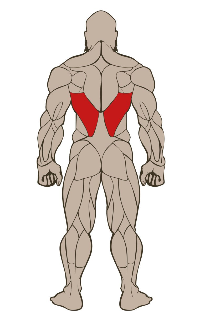 Resistance Band Rows – Grinder Gym