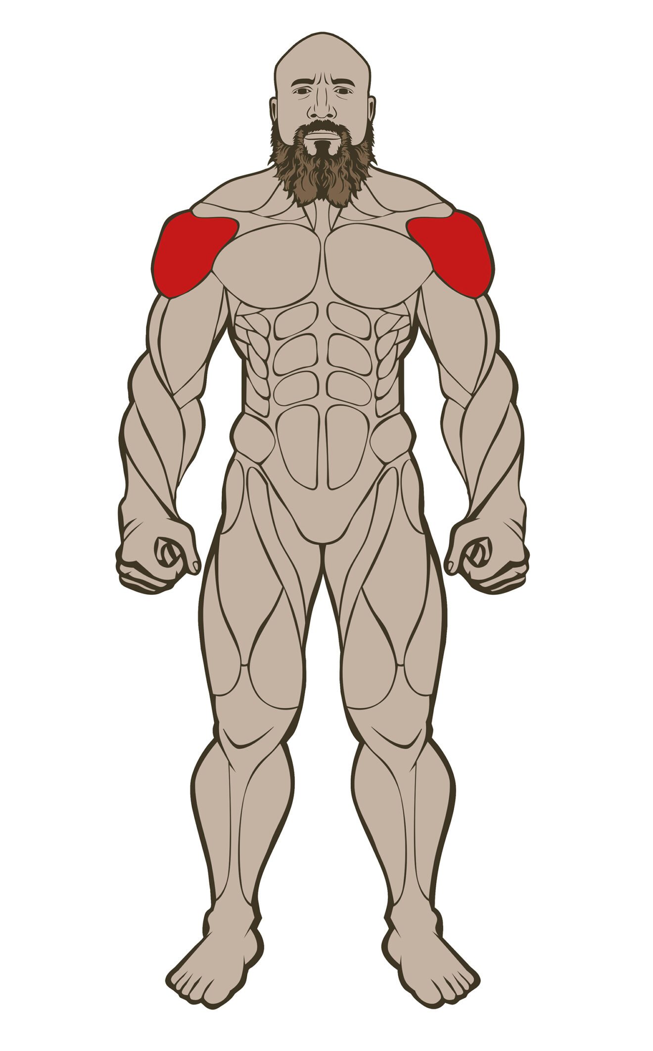 Dumbbell Overhead Shoulder Press – Grinder Gym