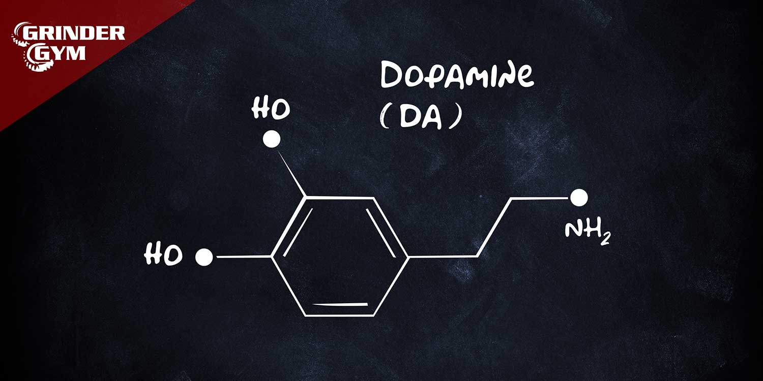Dopamine – Grinder Gym