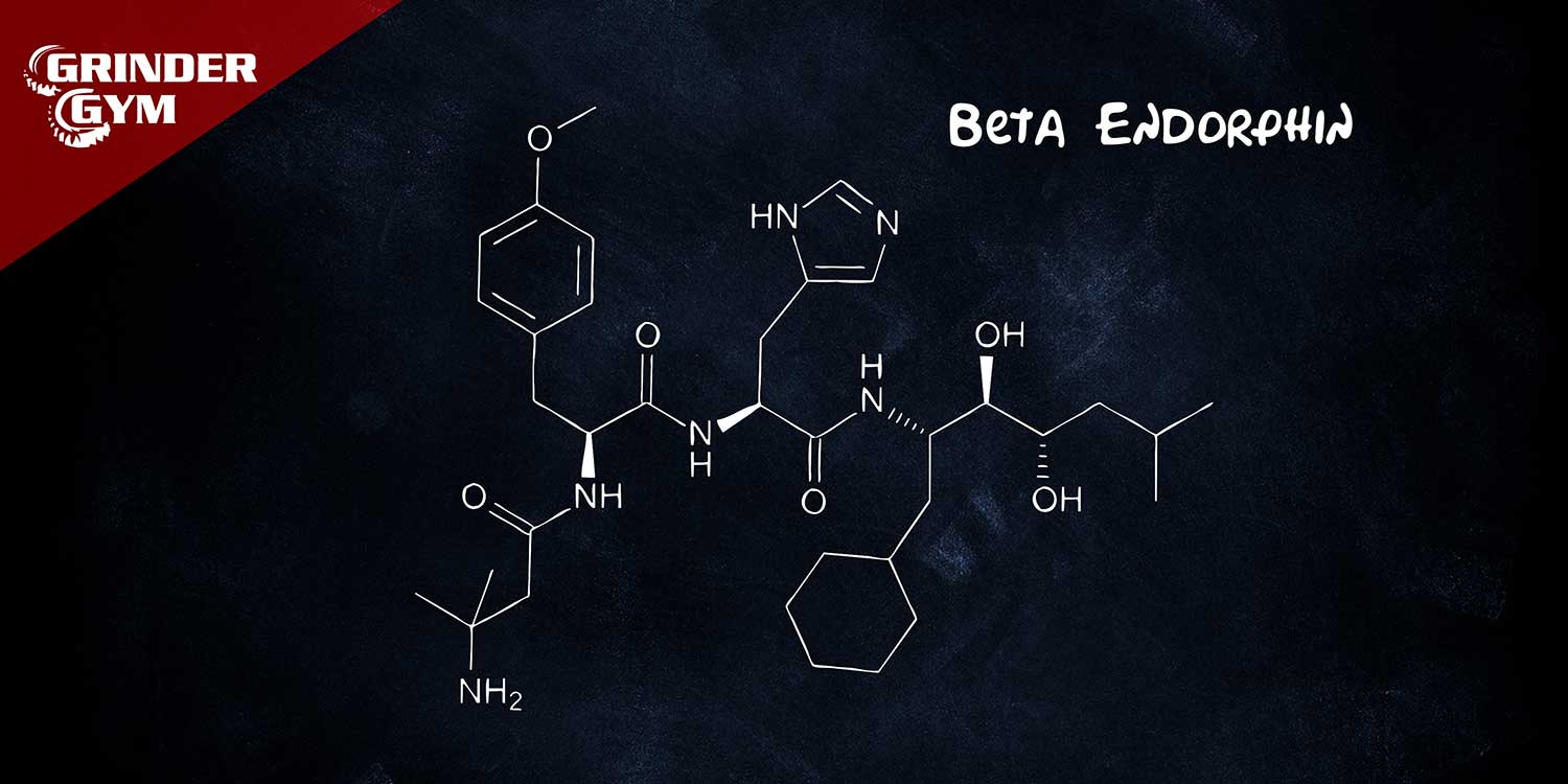 Beta-Endorphin