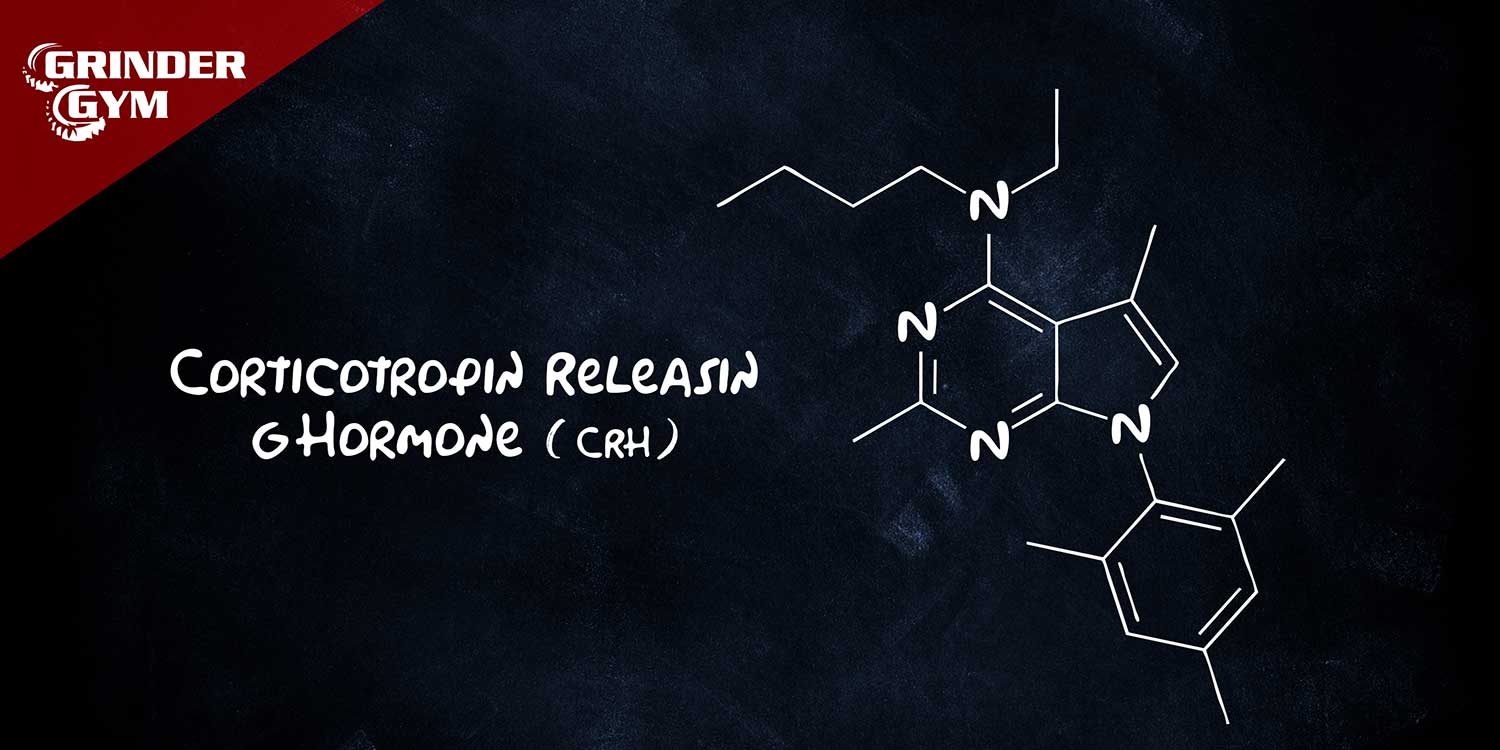 Corticotropin-Releasing Hormone (CRH) – Grinder Gym