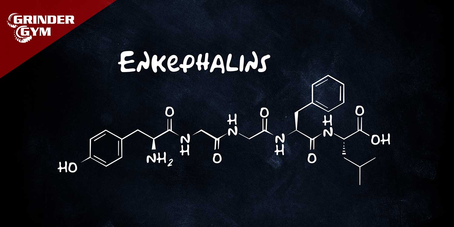 Enkephalins – Grinder Gym