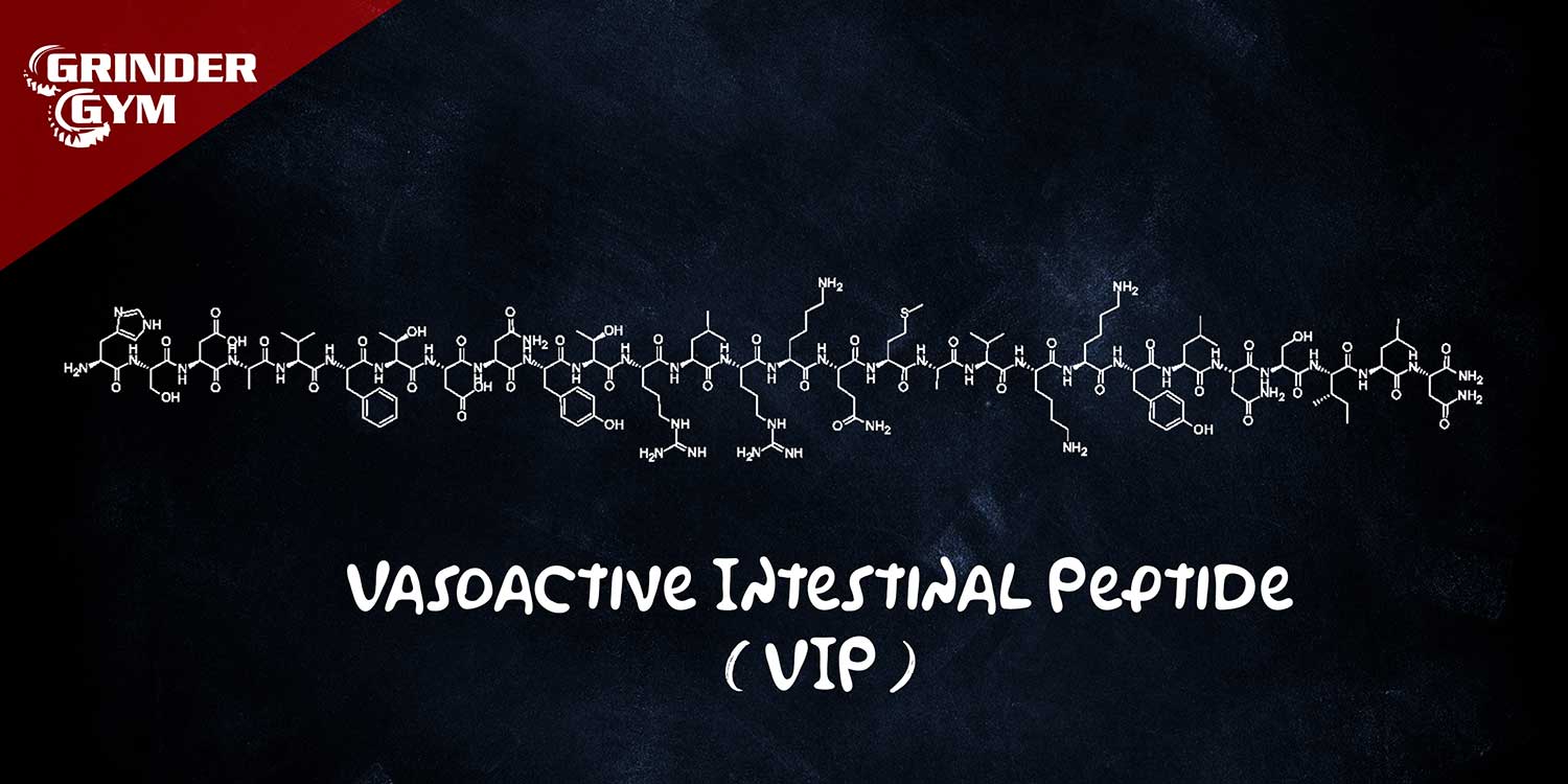 Vasoactive Intestinal Peptide (VIP) – Grinder Gym