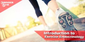Introduction to Exercise Endocrinology - Grinder Gym